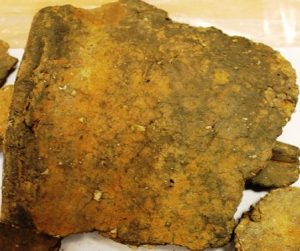 Pottery Identification - Peterborough Archaeology