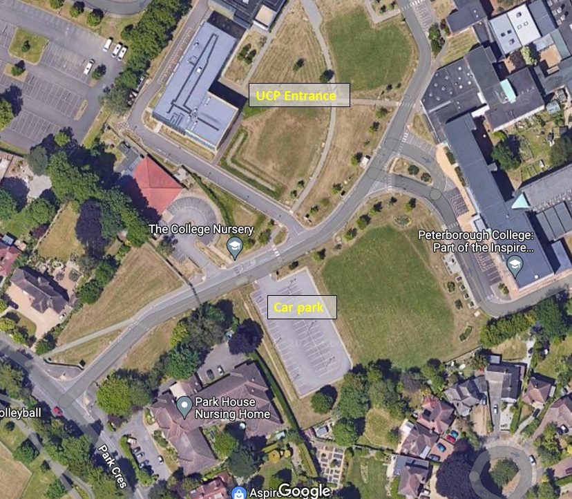 Cows and Crucifixion - Peterborough Archaeology