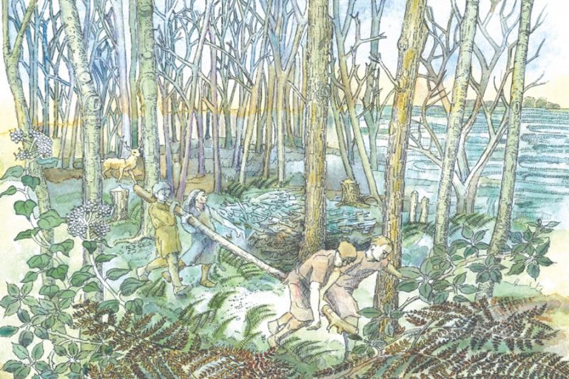 Must Farm Bronze Age Settlement - Peterborough Archaeology