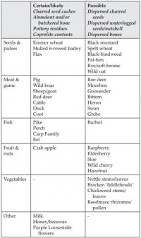 Must Farm Bronze Age Settlement - Peterborough Archaeology