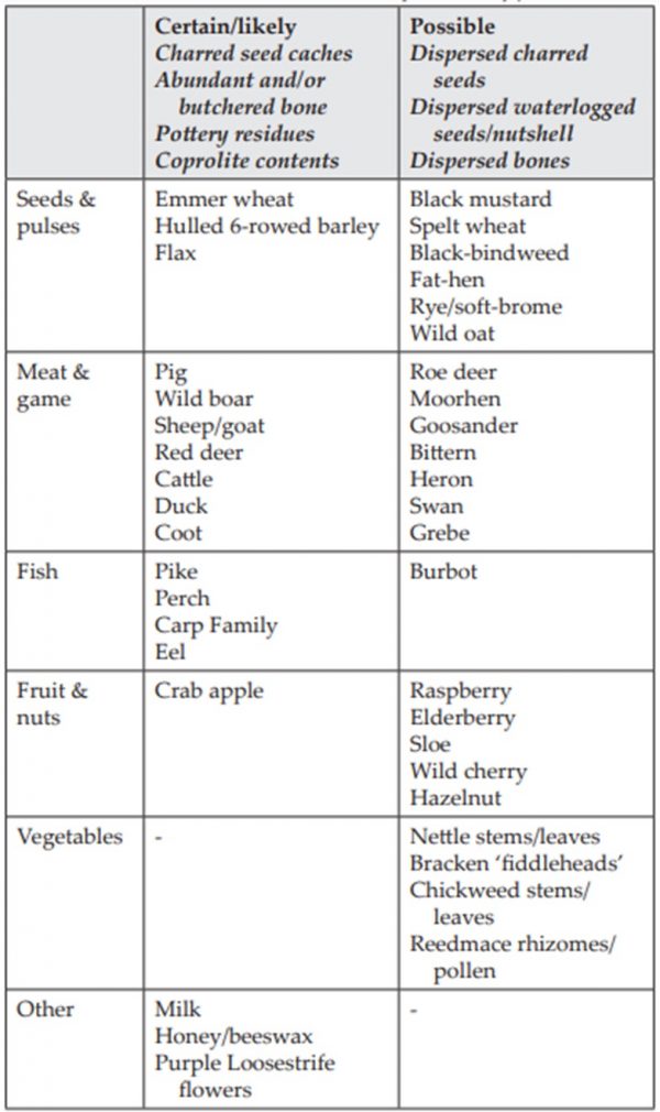 Must Farm Bronze Age Settlement - Peterborough Archaeology