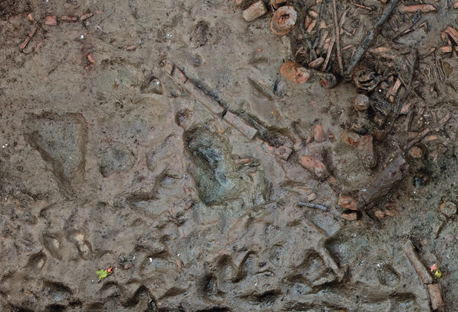 Must Farm Bronze Age Settlement - Peterborough Archaeology